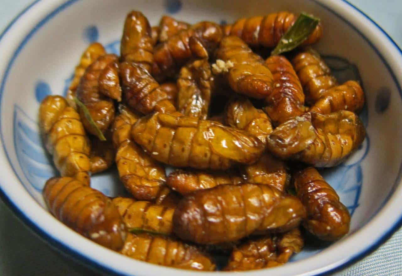Les aliments les plus étranges ou écœurants consommés en Thaïlande