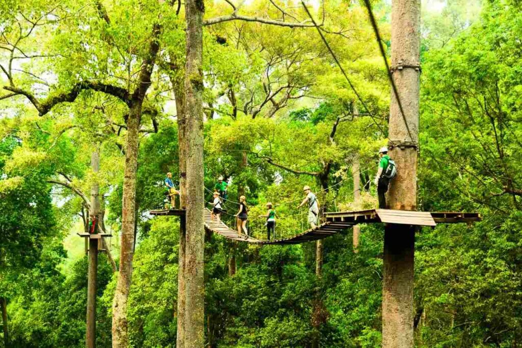 3 foreigners die while practicing tourist activities in Thailand